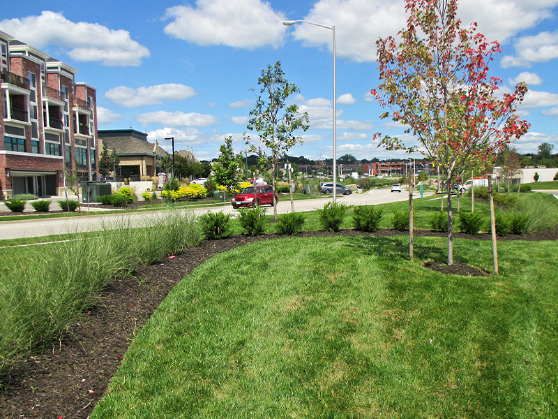 Landscape Architecture – Renaissance Infrastructure Consulting
